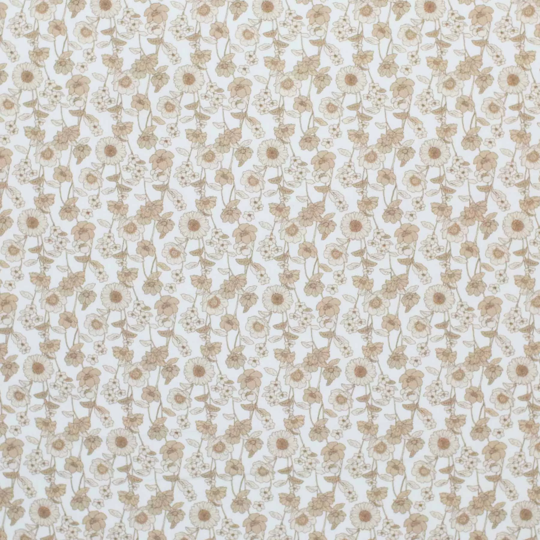 Popeline De Coton Impression Numérique - Beige Échinacée