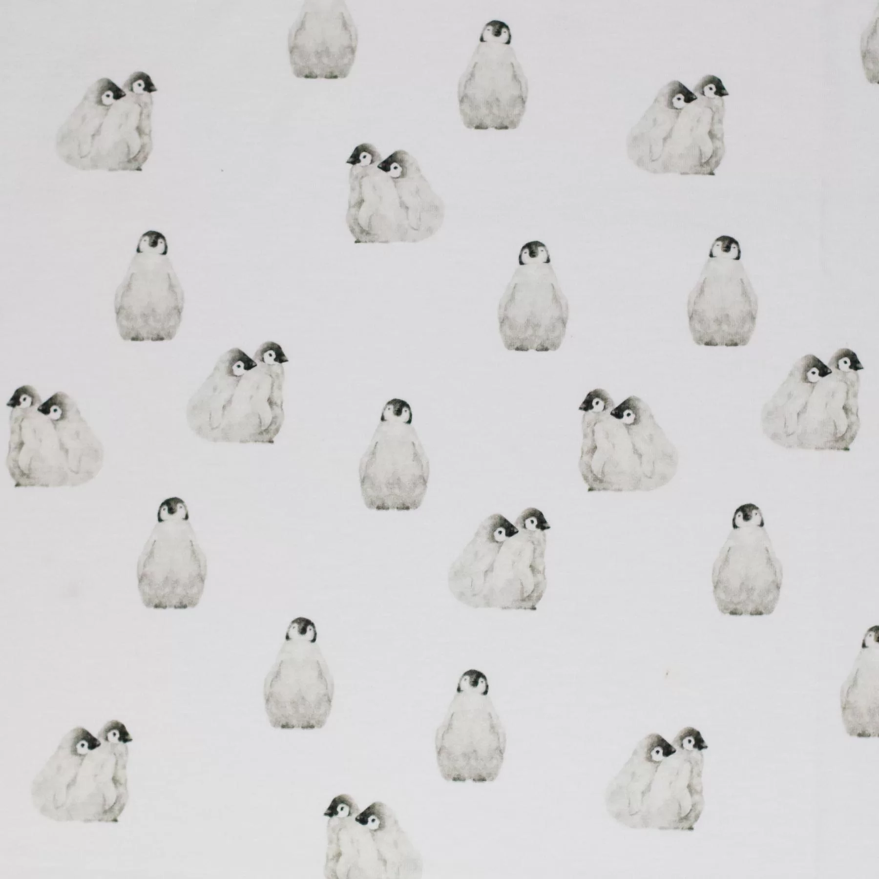 Jersey Cotton Fabric Digital Print - Penguins