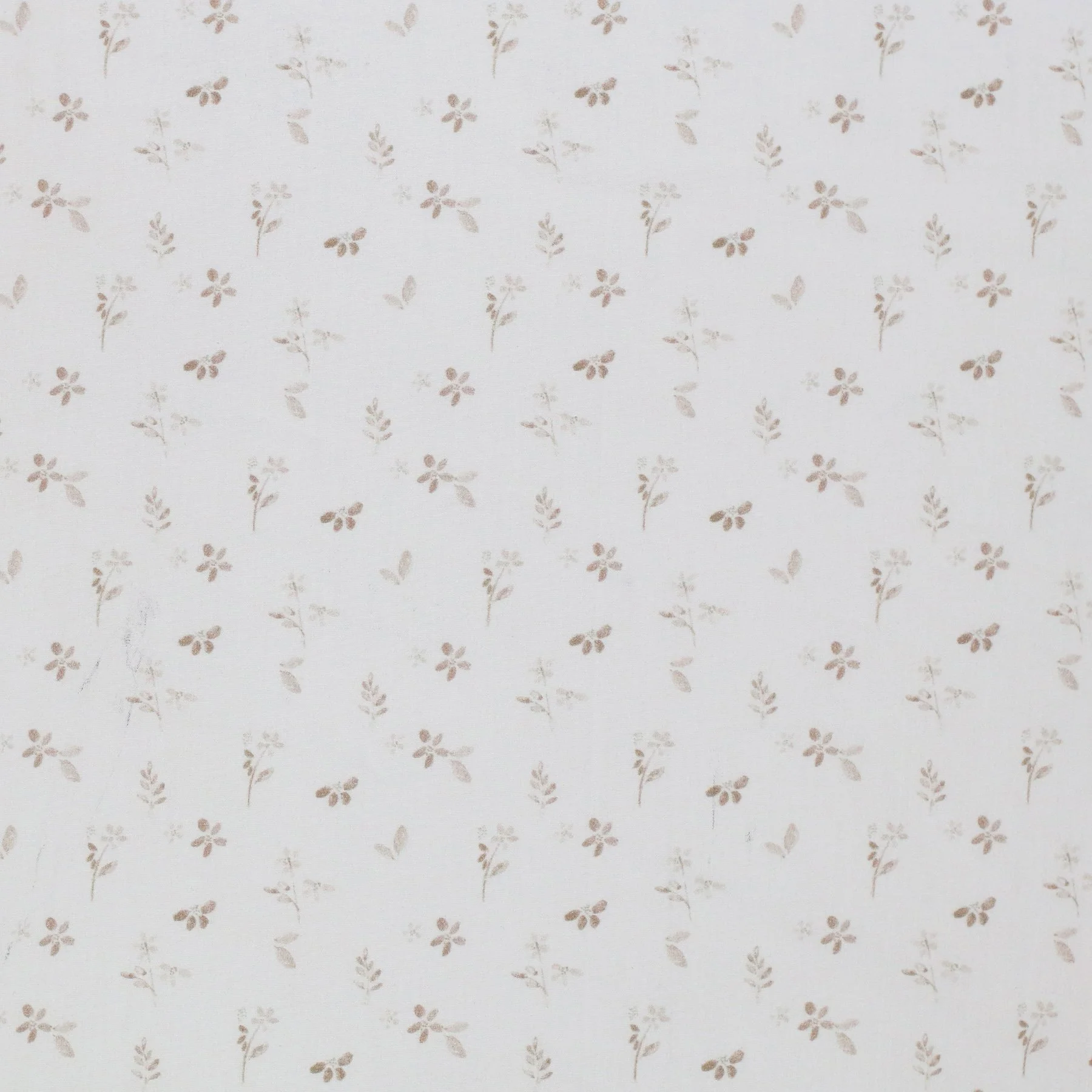 Cotton Poplin Digital Print - Cozy Flower Beige