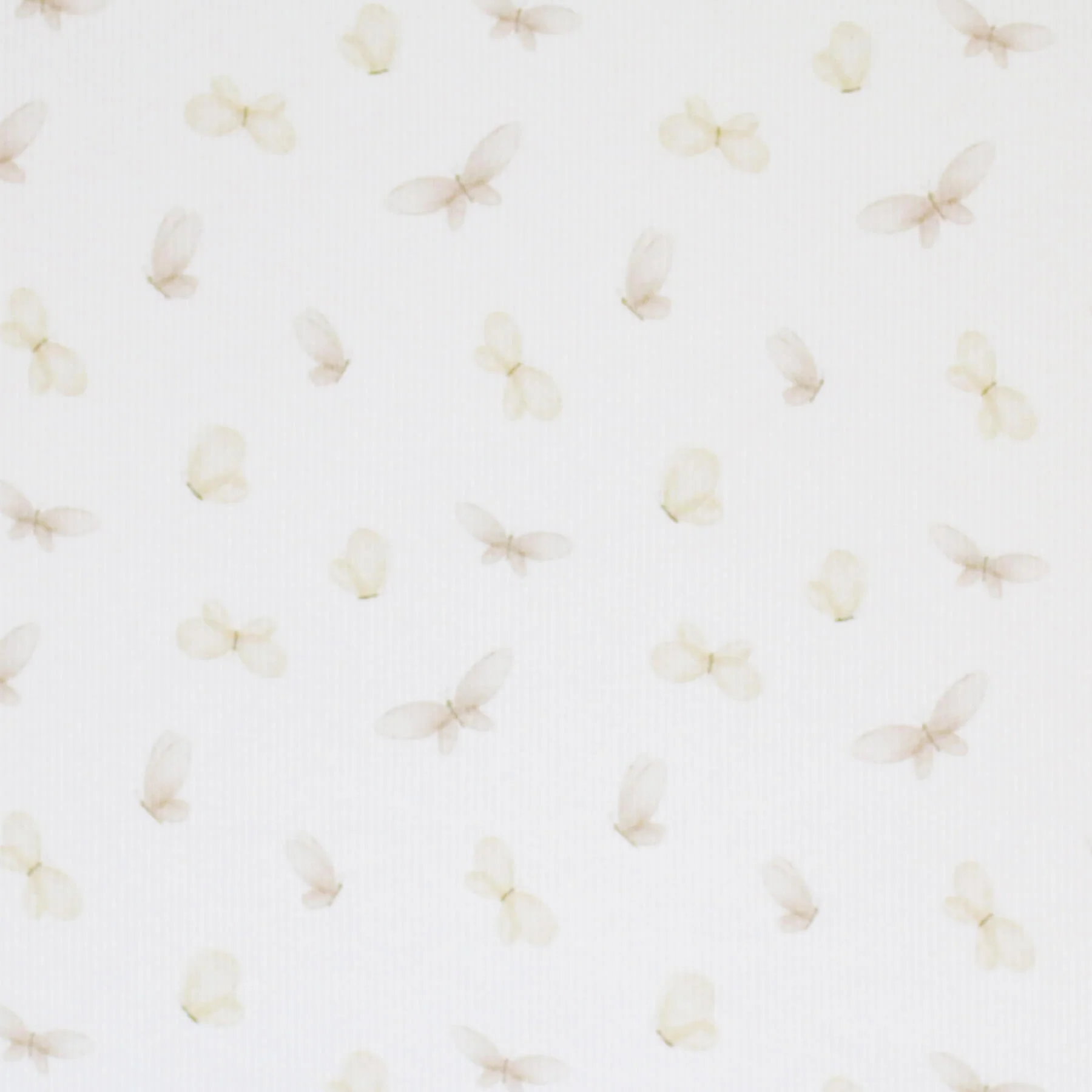 Tessuto Jersey Di Cotone Costine - Farfalle Bianche